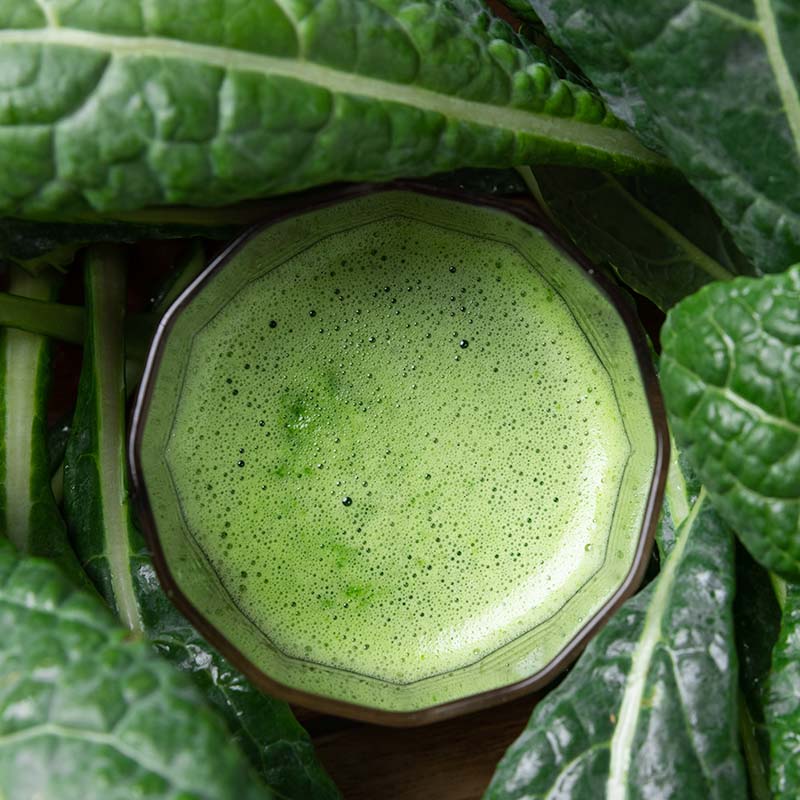 Gut Health in South Jordan, UT - Microbiome and Digestive Health